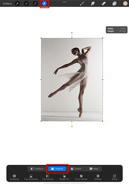 Learn How to Trace on Procreate in 7 Easy Steps Learn How to Trace on Procreate in 7 Easy Steps
