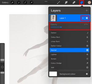 Learn How to Trace on Procreate in 7 Easy Steps