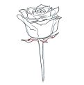 How to Draw a Rose - Learn 3Three Rose Drawings Step by Step