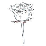 How to Draw a Rose - Learn 3Three Rose Drawings Step by Step