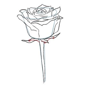 How to Draw a Rose - Learn 3Three Rose Drawings Step by Step