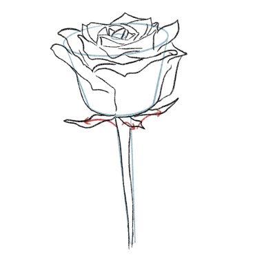 How to Draw a Rose - Learn 3Three Rose Drawings Step by Step
