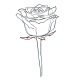 How to Draw a Rose - Learn 3Three Rose Drawings Step by Step