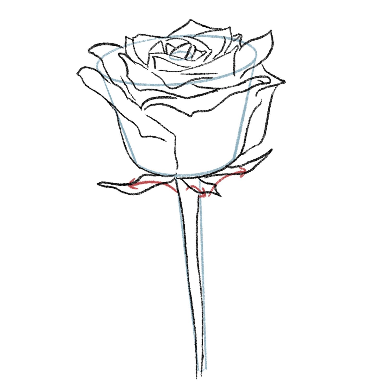 C mo Dibujar Una Rosa Aprende 3 Dibujos De Rosas Paso A Paso C mo Dibujar Una Rosa Aprende 3 Dibujos De Rosas Paso A Paso