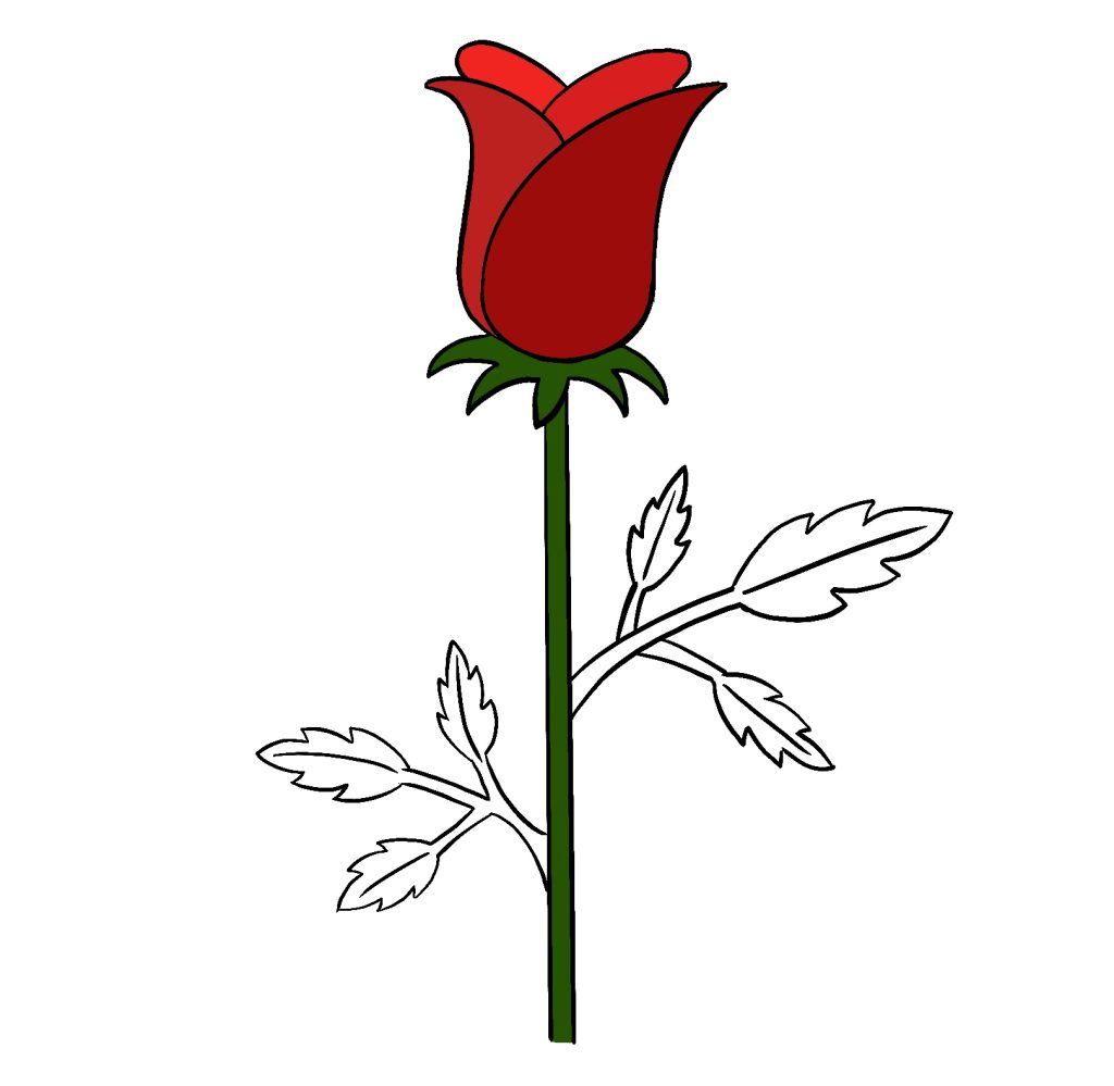 Como Dibujar Una Rosa Realista A Lapiz Como Dibujar Una Rosa Realista A Lapiz