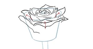 How to Draw a Rose - Learn 3Three Rose Drawings Step by Step