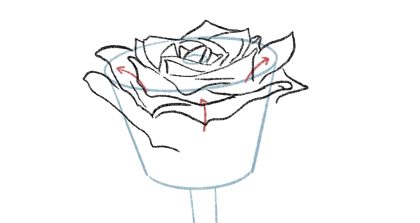 How to Draw a Rose - Learn 3Three Rose Drawings Step by Step