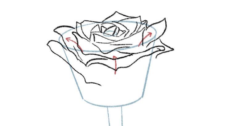 How to Draw a Rose - Learn 3Three Rose Drawings Step by Step