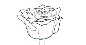How to Draw a Rose - Learn 3Three Rose Drawings Step by Step