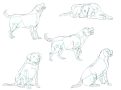 How to Draw a Dog | Step-by-Step Guide | 2 Tutorials Inside