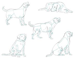 How to Draw a Dog | Step-by-Step Guide | 2 Tutorials Inside