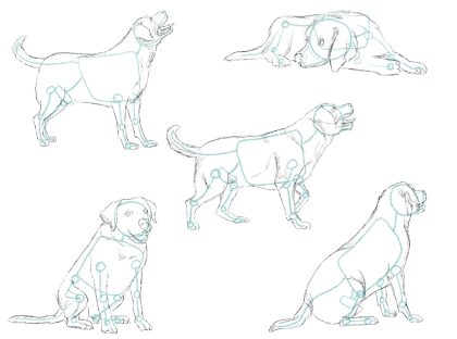 How to Draw a Dog | Step-by-Step Guide | 2 Tutorials Inside