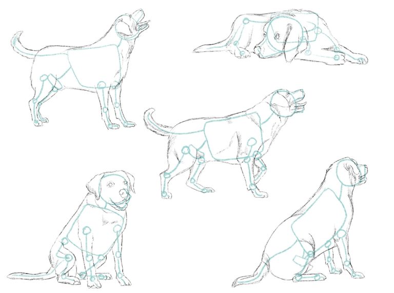 How to Draw a Dog | Step-by-Step Guide | 2 Tutorials Inside