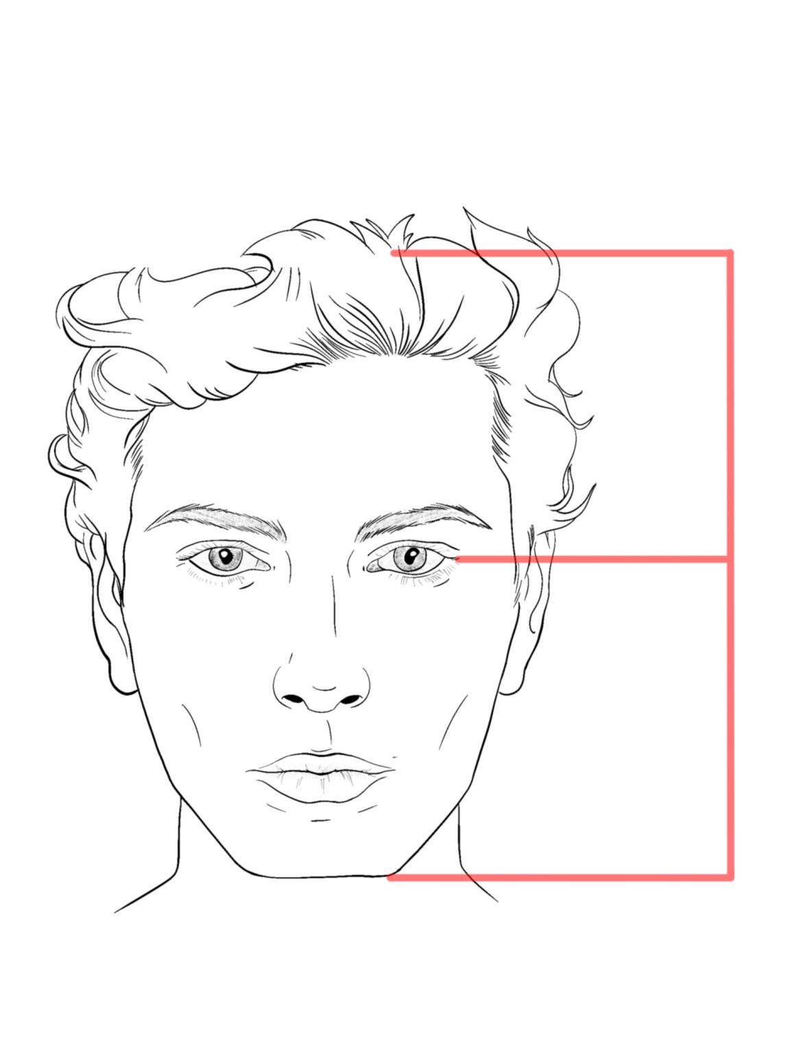 Seven Face Proportions For Drawing A Perfect Face