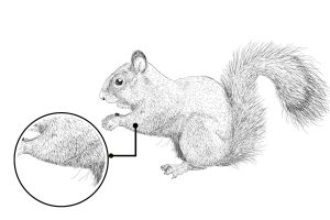 7 Pencil Shading Techniques Every Artist Must Know