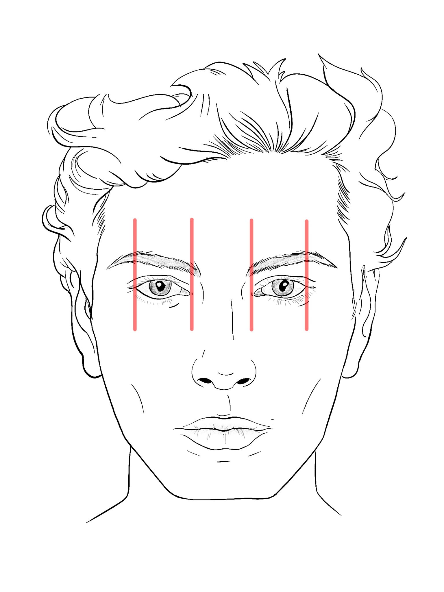 Seven Face Proportions For Drawing A Perfect Face