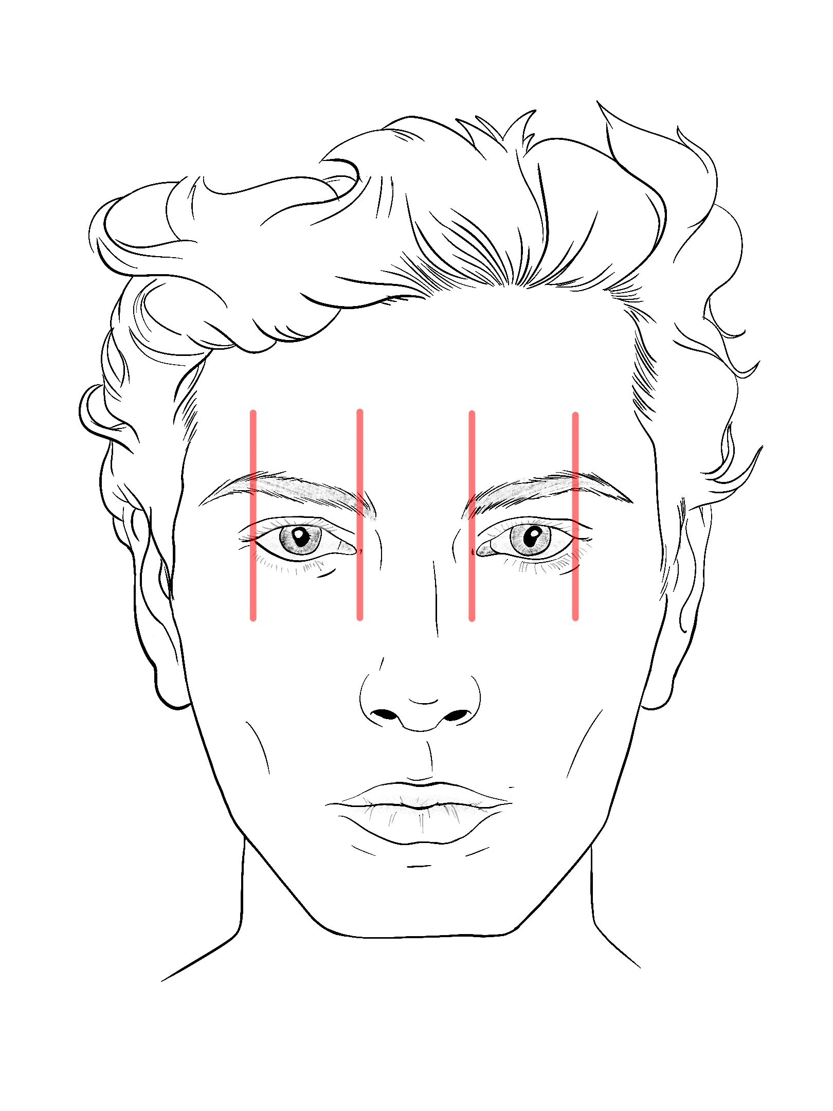 Seven Face Proportions For Drawing A Perfect Face