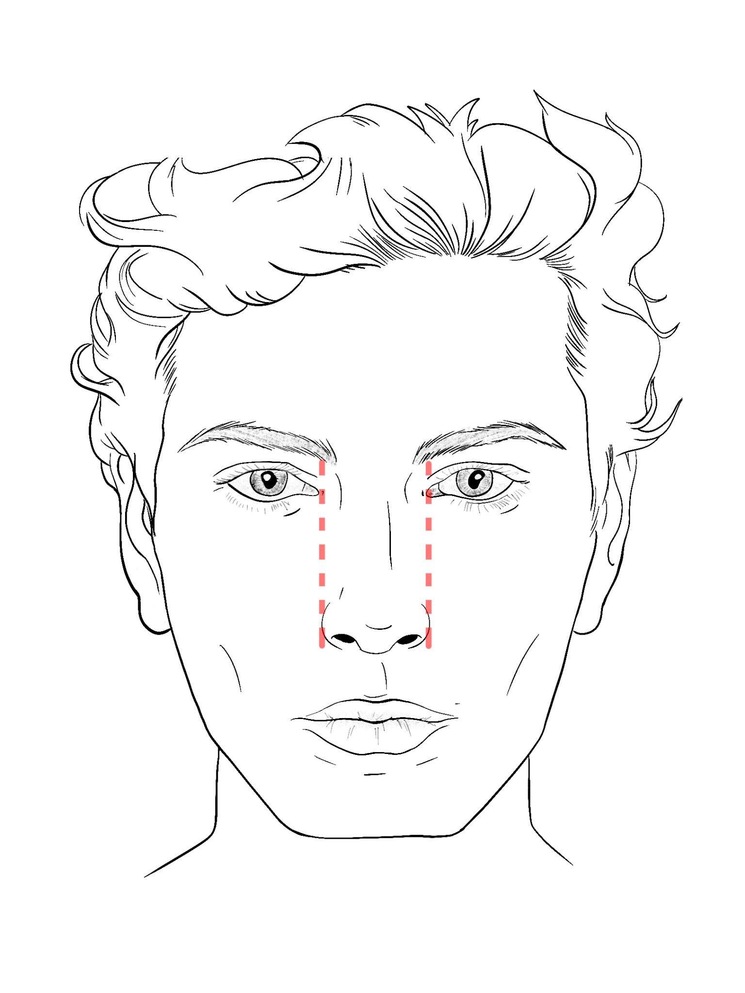 Seven Face Proportions For Drawing A Perfect Face