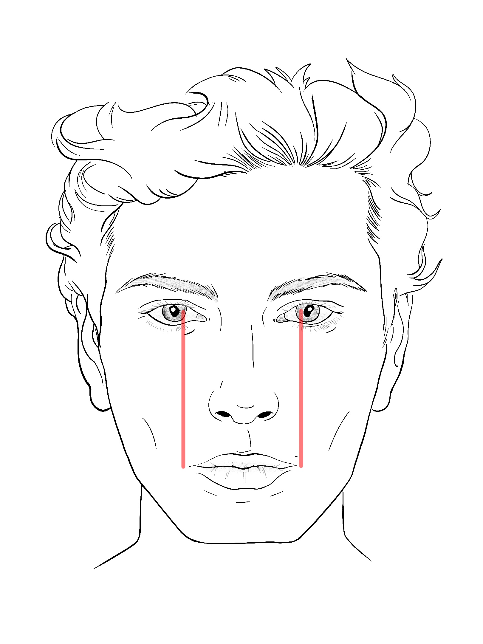 Seven Face Proportions For Drawing A Perfect Face