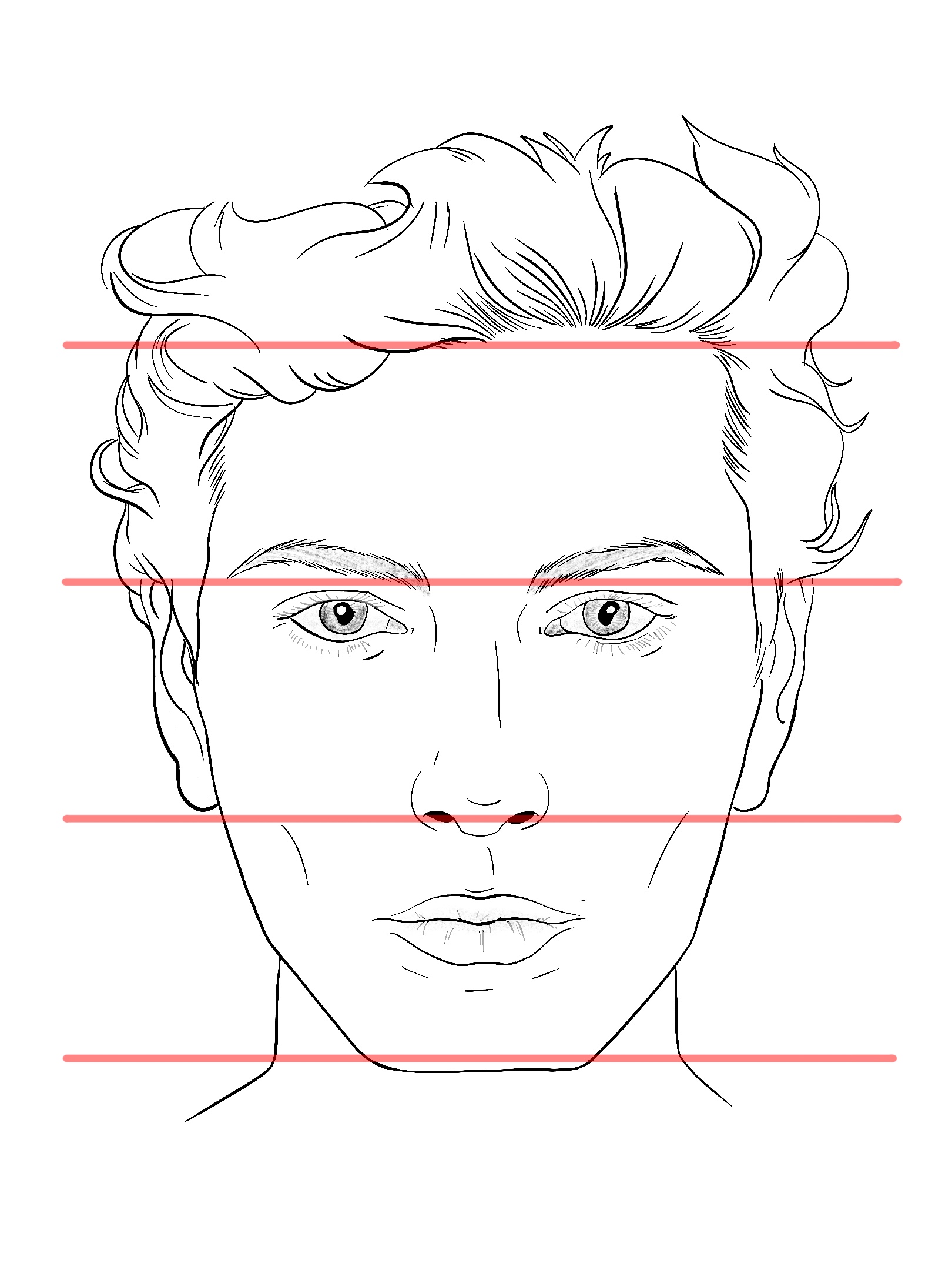 Seven Face Proportions For Drawing A Perfect Face