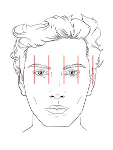 Seven Face Proportions For Drawing A Perfect Face